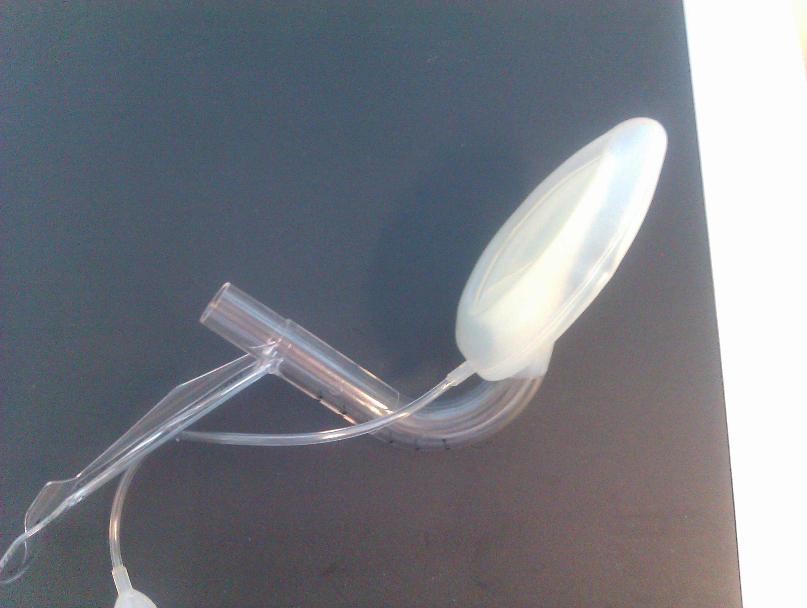 The Fastrach Intubating Laryngeal Mask -excerpt from my Prehospital ...