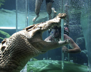 Prehospital care of crocodile attack injuries – Prehospital and ...